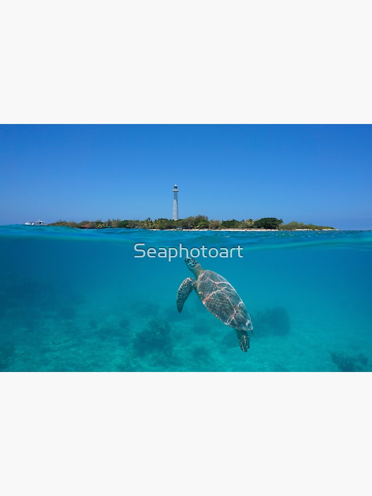 "Island with a lighthouse and a sea turtle underwater Pacific ocean ...