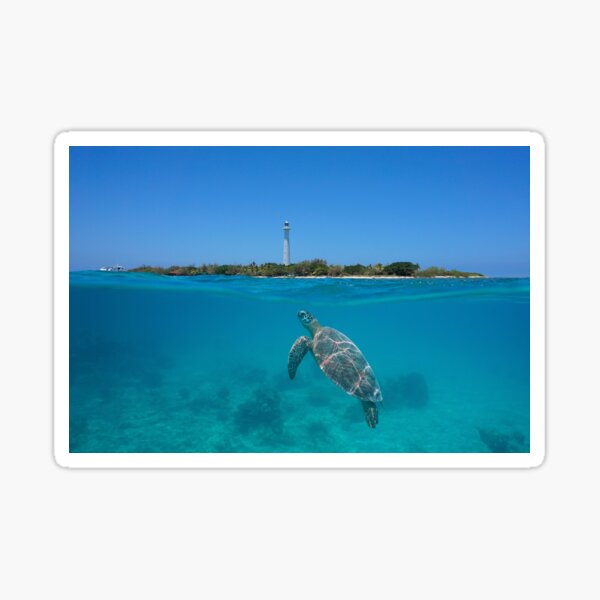 "Island with a lighthouse and a sea turtle underwater Pacific ocean ...