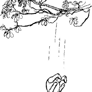 "Winnie the Pooh Falling out of a Tree" Poster for Sale by Amy Olsen ...