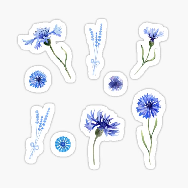 "Cornflower Blue Floral Bouquet, Cute Blooming Flower Aesthetic ...