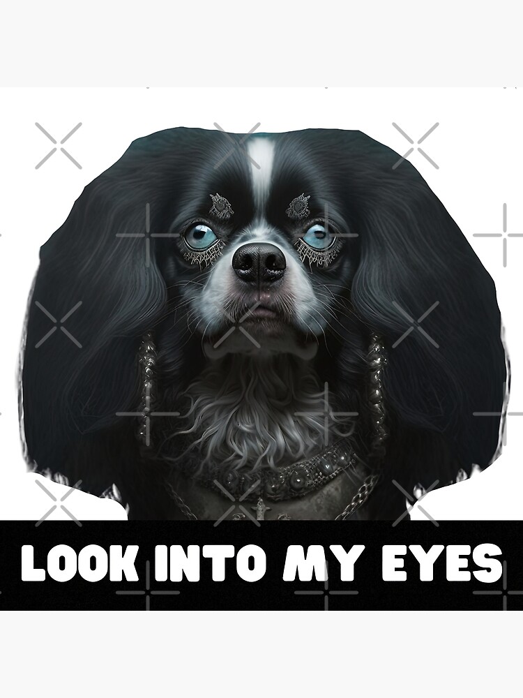 "Dog hypnotize funny look into my eyes hypnotizing illusionist " Poster ...