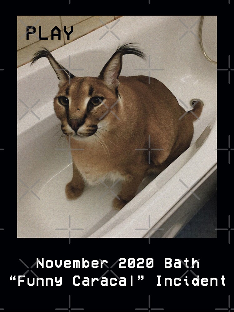 "BIG FLOPPAS MYSTERIOUS INCIDENT" Sticker for Sale by SOMENSAGA | Redbubble