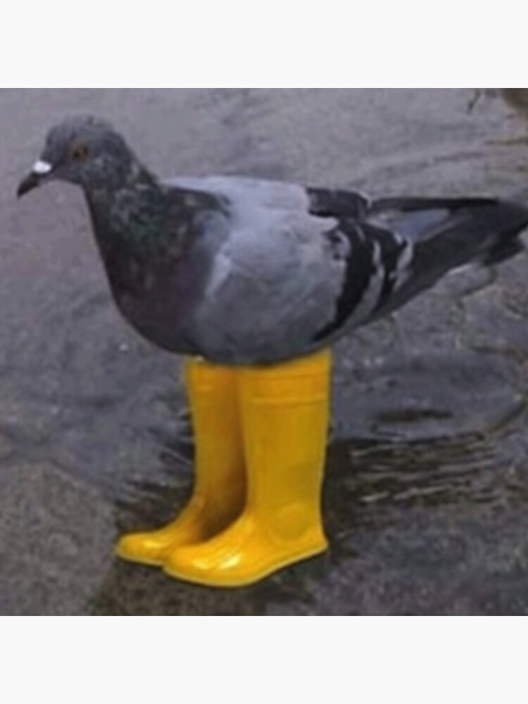 "Pigeon Bird Meme Boots" Sticker for Sale by indigosilver | Redbubble