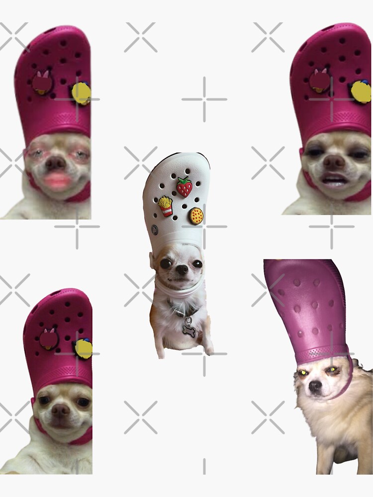 "dogs with crocs sticker pack" Sticker for Sale by redakhatib | Redbubble