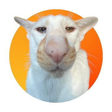 ".5 Winston" Sticker for Sale by hannahzgreat | Redbubble