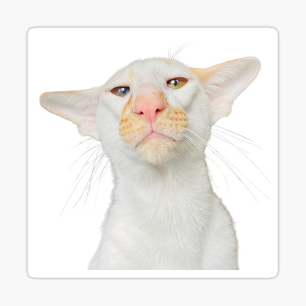 "Winston III" Sticker for Sale by hannahzgreat | Redbubble