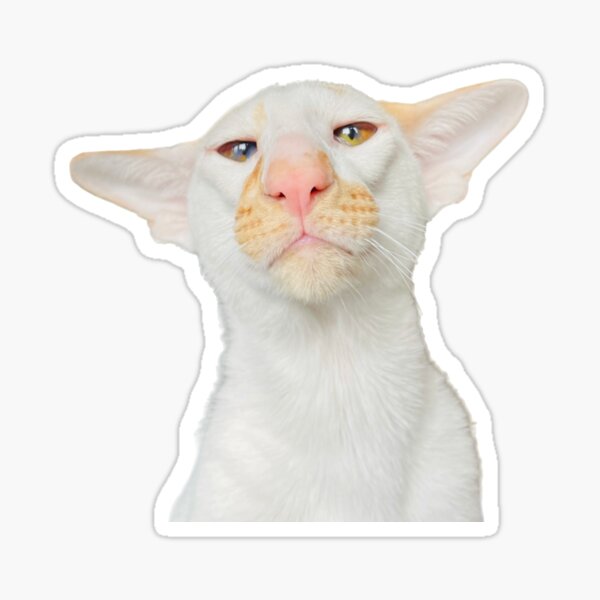 "Winston IV" Sticker for Sale by hannahzgreat | Redbubble