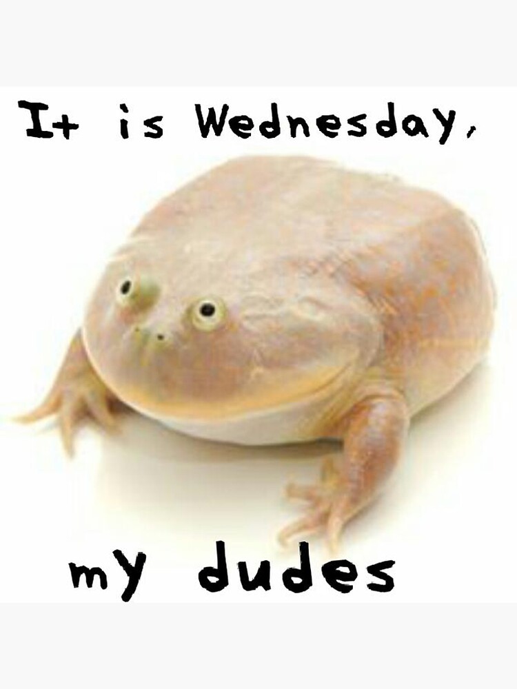 It Is Wednesday My Dudes Meme Reddit Frog Me Irl Me Irl Meirl Sticker