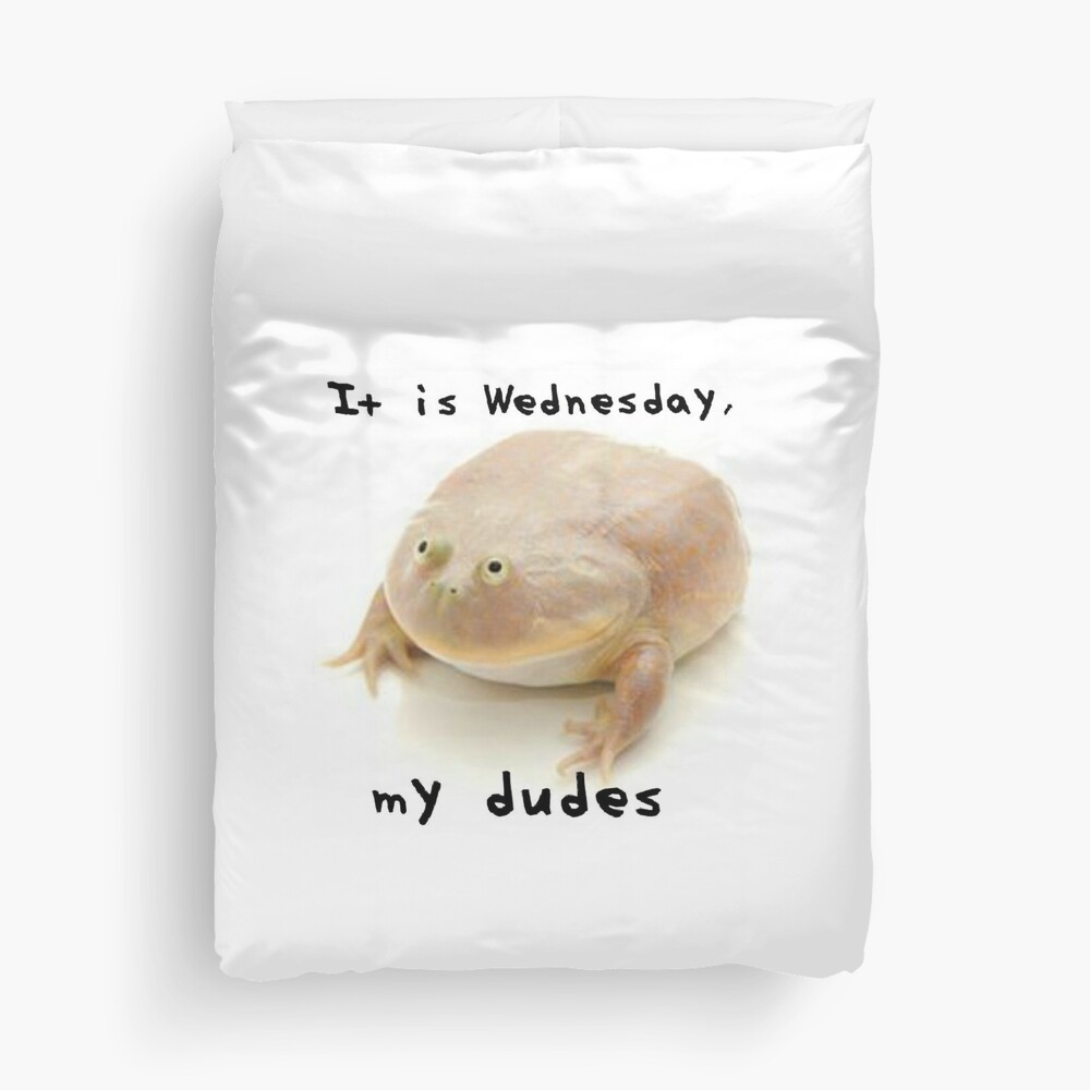 "It Is Wednesday My Dudes Meme Reddit Frog Me_IRL Me IRL MeIRL" Duvet ...