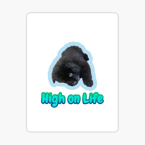 "High on Life" Sticker for Sale by Funotations | Redbubble
