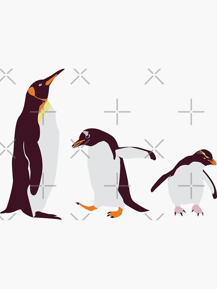 "Penguins | Macaroni Penguin | Cute Penguin | King Penguin | Rockhopper ...