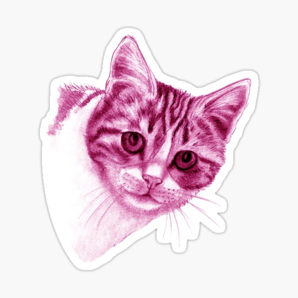 "Curious cat head - pink colorized version" Sticker for Sale by ...