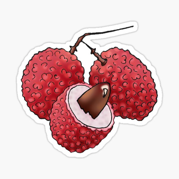 "Lychees" Sticker for Sale by Food-By-EmilyW | Redbubble