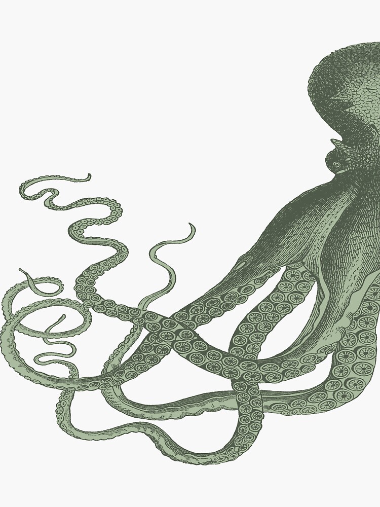 "Half Octopus | Left Side | Vintage Octopus | Tentacles | Sea Creatures ...