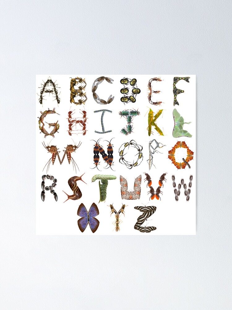 "ABC Alphabet | Bug Alphabet | Insect Alphabet | Phonetic ABC | Bug ...