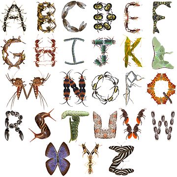 "ABC Alphabet | Bug Alphabet | Insect Alphabet | Phonetic ABC | Bug ...
