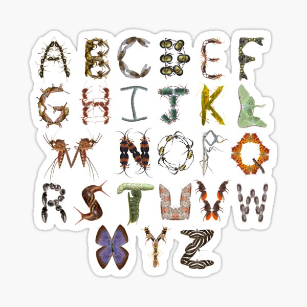 "Bug Alphabet | Insect Alphabet | Phonetic ABC " Sticker for Sale by ...