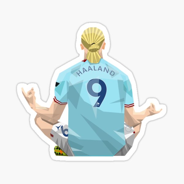 "Erling Haaland celebration" Sticker for Sale by poly-ed | Redbubble