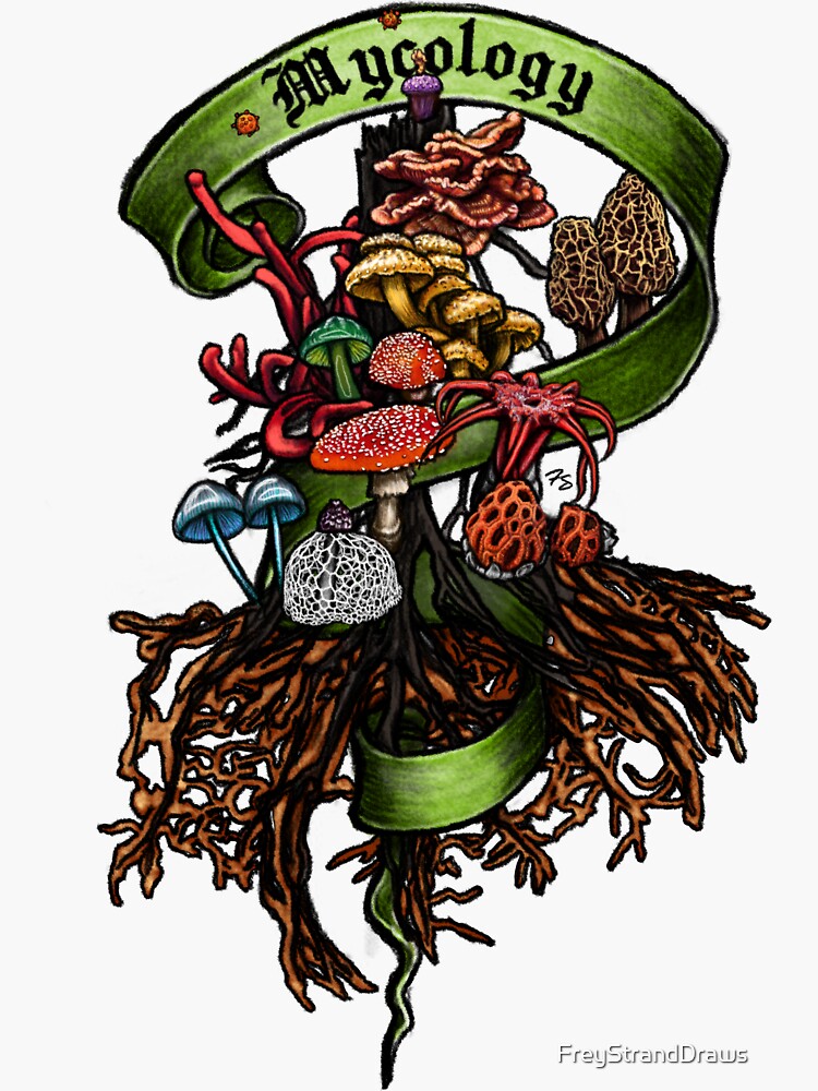 "Mycology Nerd Banner" Sticker for Sale by FreyStrandDraws | Redbubble