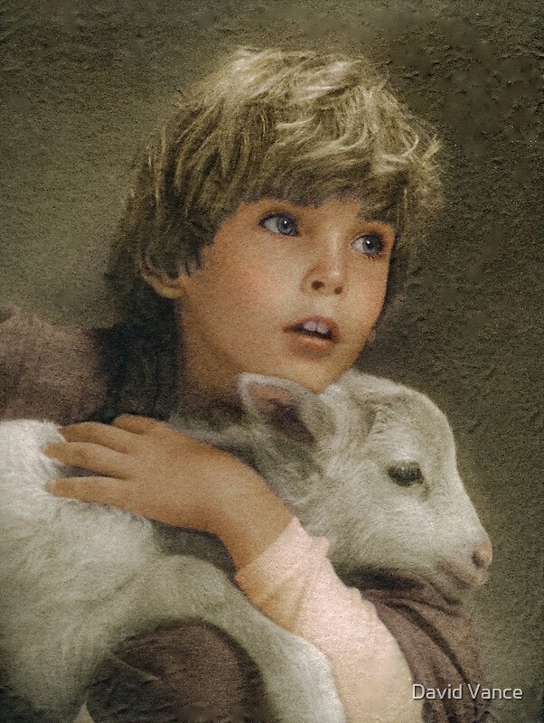 "Shepherd boy" by David Vance | Redbubble
