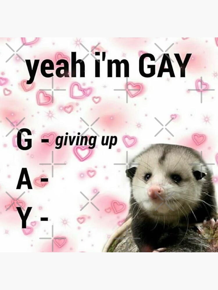 "Yeah I'm gay giving up opossum meme" Sticker for Sale by brookeisanerd ...