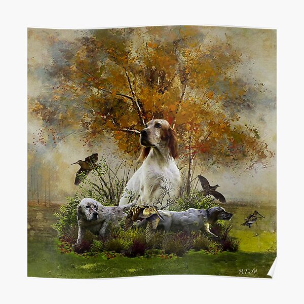 "English Setter , woodcock hunting " Poster for Sale by TammyHunterArt ...