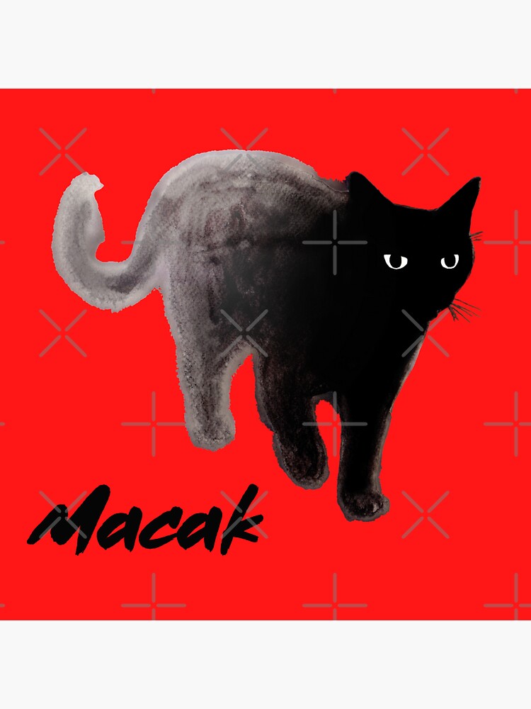 "Macak - Nikola Tesla's Childhood Cat - Watercolor and Text Design ...