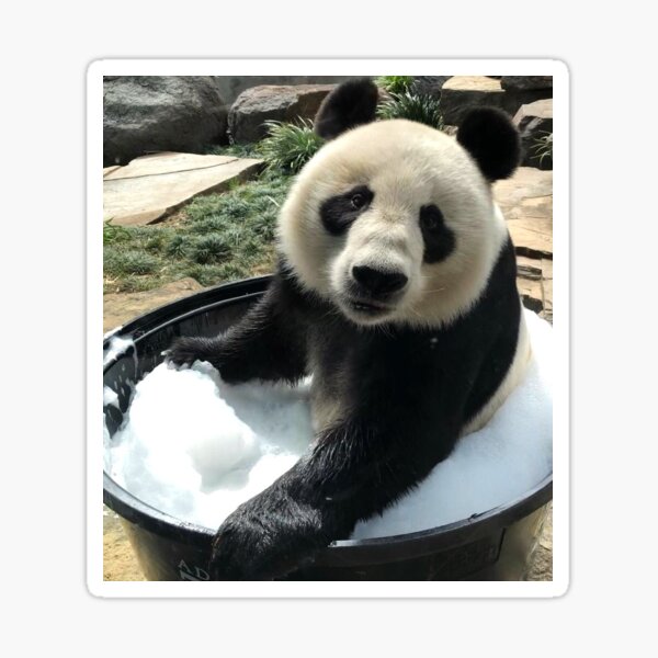 "Panda Bath Time" Sticker for Sale by alliejohns3 | Redbubble