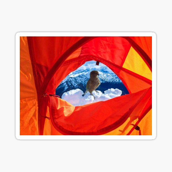 "A room with a view and a bird named Kea" Sticker for Sale by ...