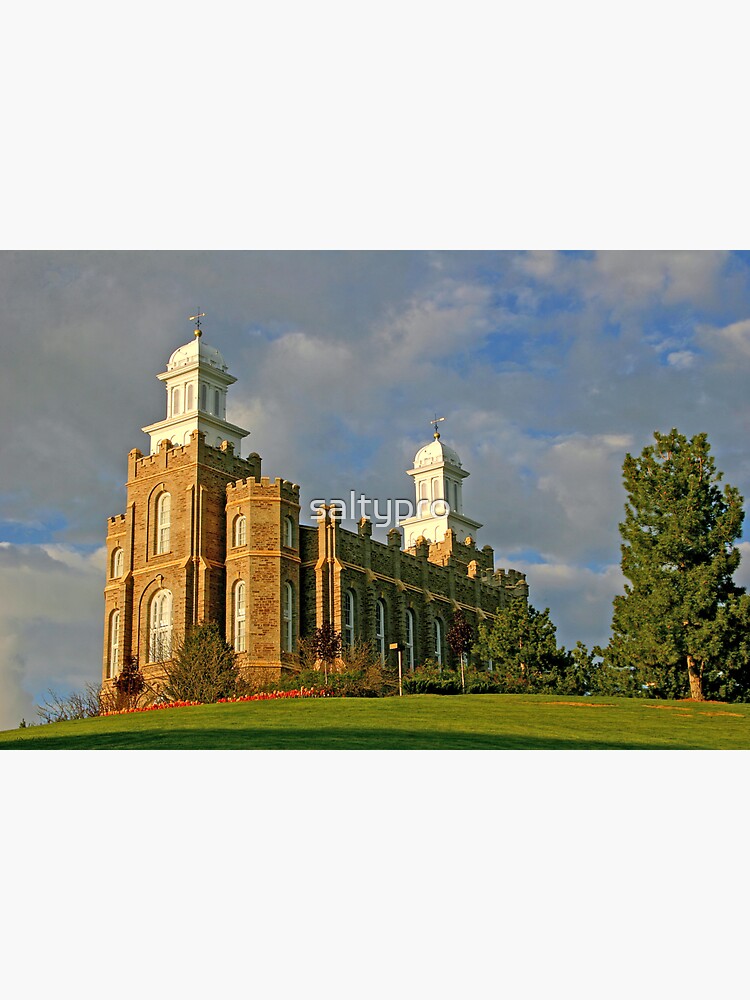 "Logan Temple " Sticker by saltypro | Redbubble