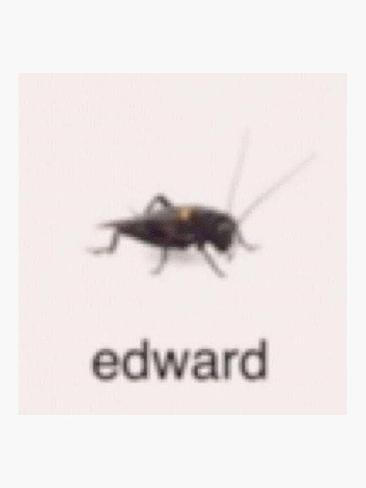 "Edward Wasp Meme" Sticker for Sale by VirusMinus | Redbubble
