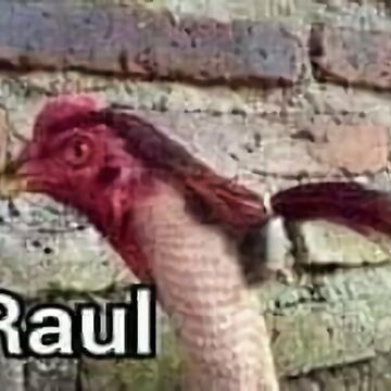 "Raul Chicken Meme" Sticker for Sale by VirusMinus | Redbubble
