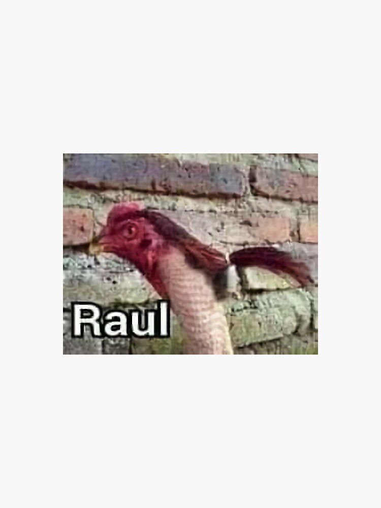 "Raul Chicken Meme" Sticker for Sale by VirusMinus | Redbubble