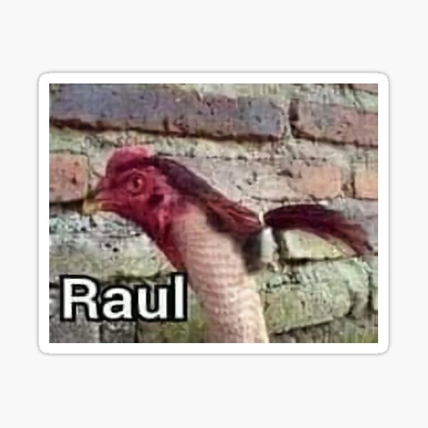 "Raul Chicken Meme" Sticker for Sale by VirusMinus | Redbubble