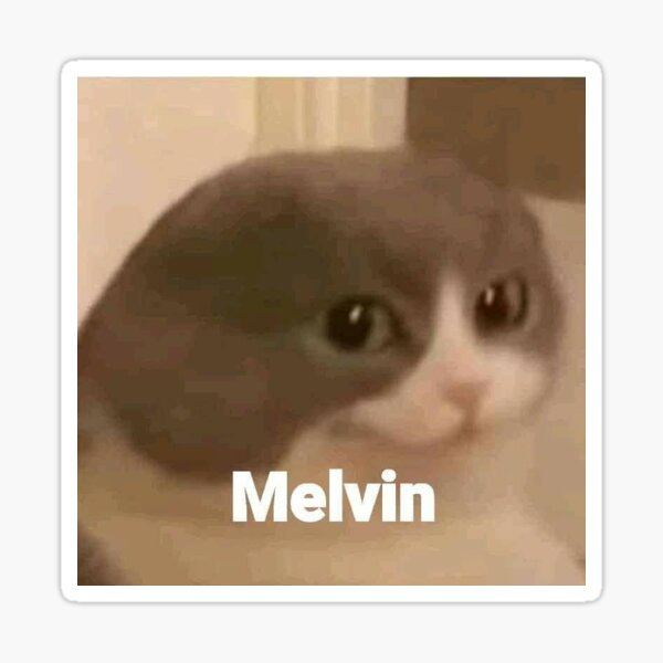 "Melvin Cat Meme" Sticker for Sale by VirusMinus | Redbubble