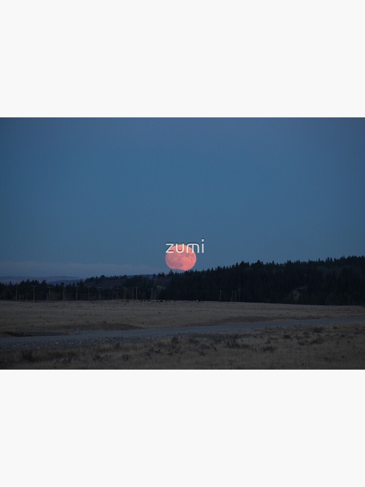 "Full Moon in perigee" Poster by zumi | Redbubble