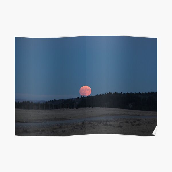 "Full Moon in perigee" Poster by zumi | Redbubble