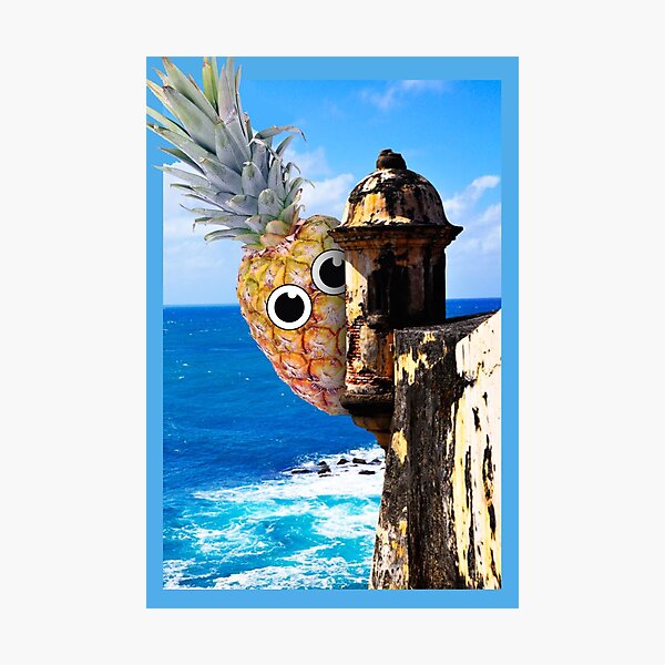 Lámina fotográfica «Espía de piña en El Morro Puerto Rico» de ...