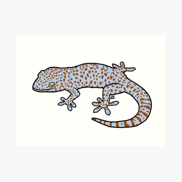 "Tokay Gecko" Art Print for Sale by Shelbyygarris | Redbubble