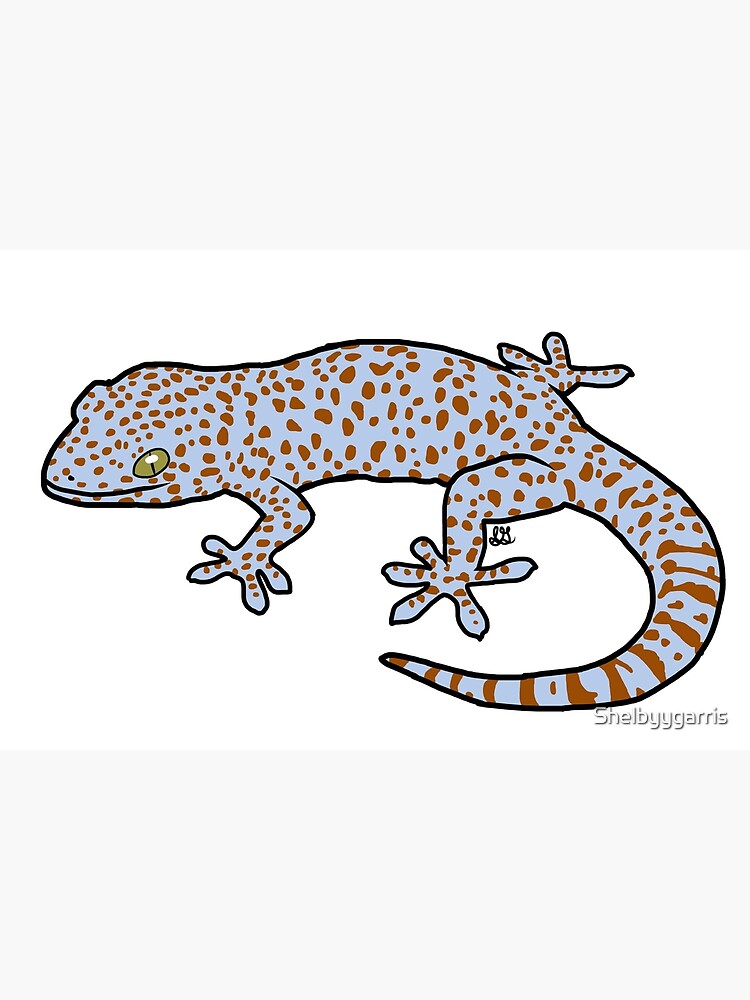 "Tokay Gecko" Art Print for Sale by Shelbyygarris | Redbubble