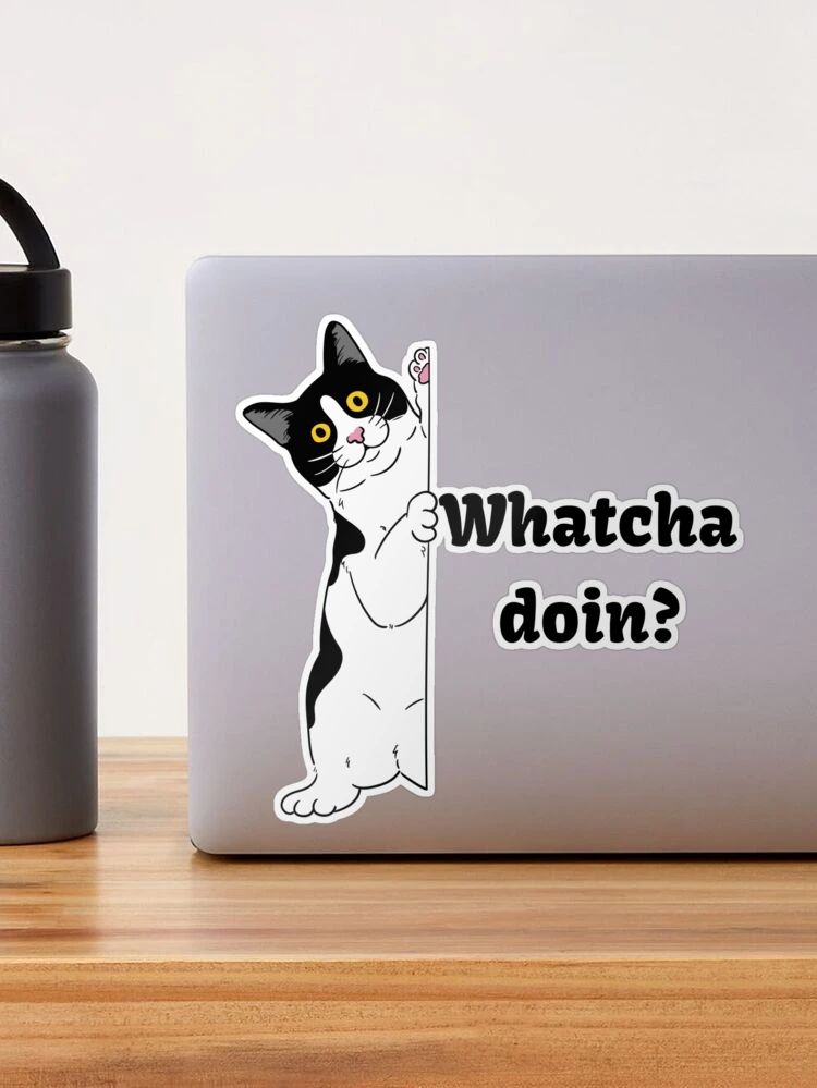 Whatcha Doin Cat Memes