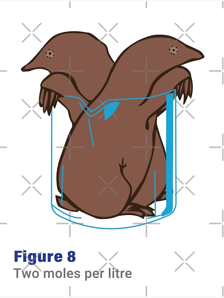 "Two moles per litre - pun meme" Poster for Sale by Rzera- | Redbubble