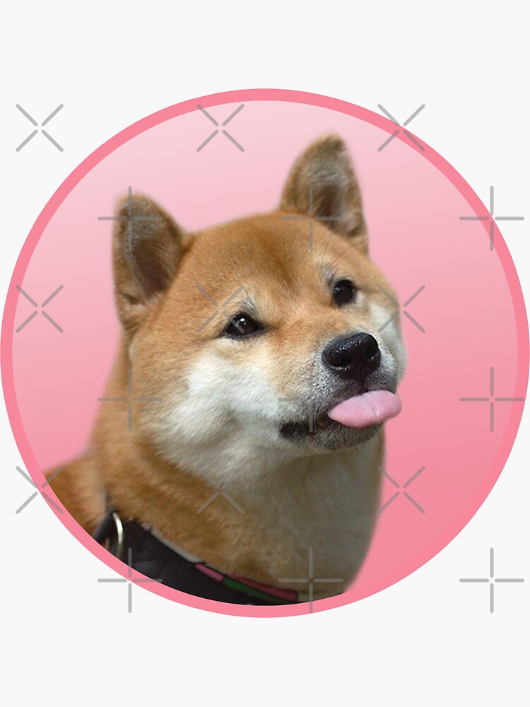"Doggo Stickers: Shiba Mlem #2" Sticker by Elisecv | Redbubble