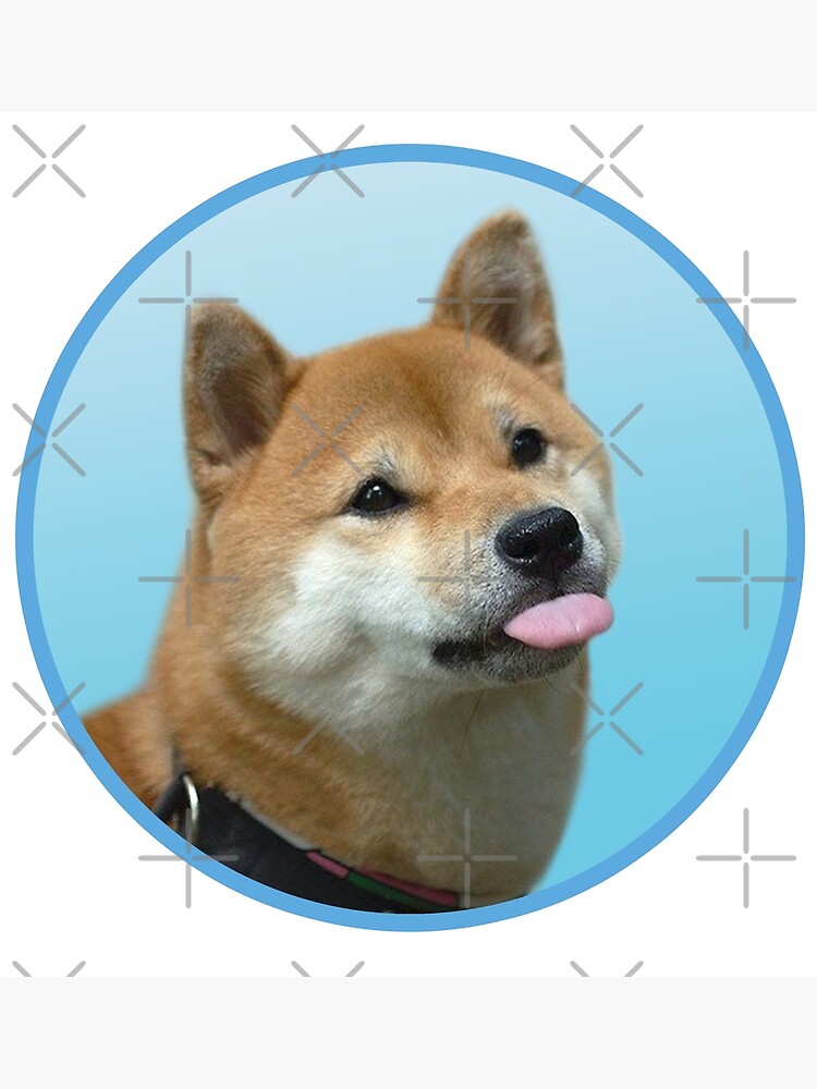 "Doggo Stickers: Shiba Mlem #3" Poster for Sale by Elisecv | Redbubble