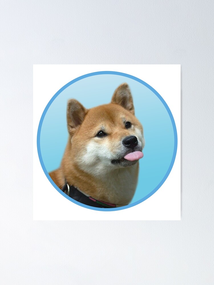 "Doggo Stickers: Shiba Mlem #3" Poster for Sale by Elisecv | Redbubble