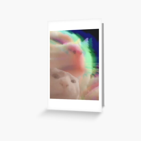 "Funny cat vibing meme in a trippy, glitchy, rainbow aesthetic. A ...
