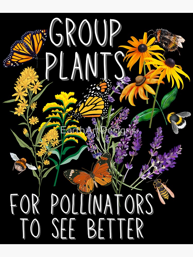 "Group Plants For Pollinators To See Better Colorful Design" Sticker ...