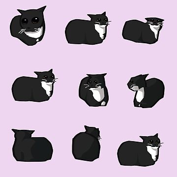 "Maxwell the cat dancing and rotating" Sticker for Sale by farofael ...