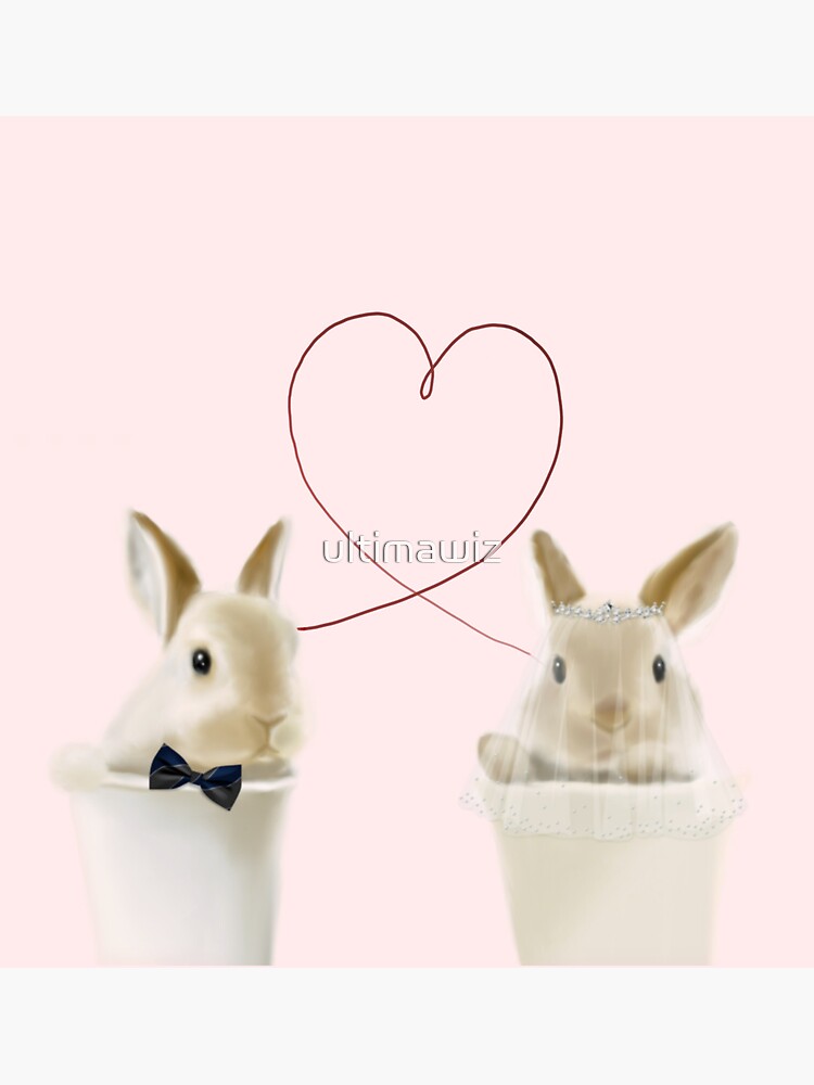 "rabbit couple pink bg " Sticker for Sale by ultimawiz | Redbubble