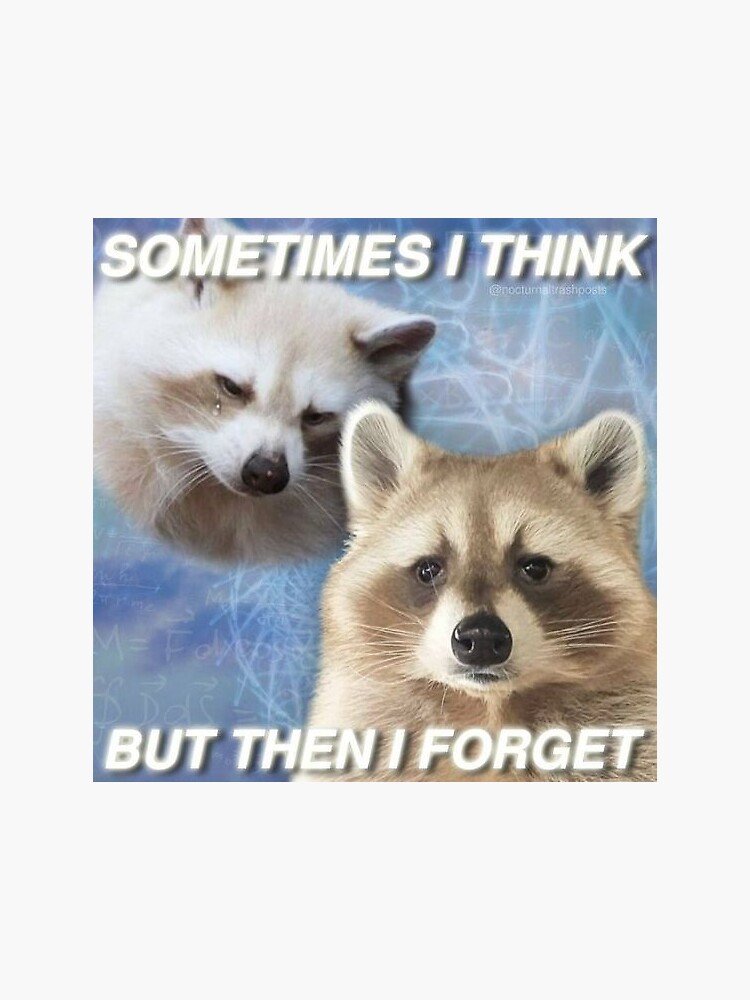 "forgetful racoon" Sticker for Sale by Waterlemons013 | Redbubble